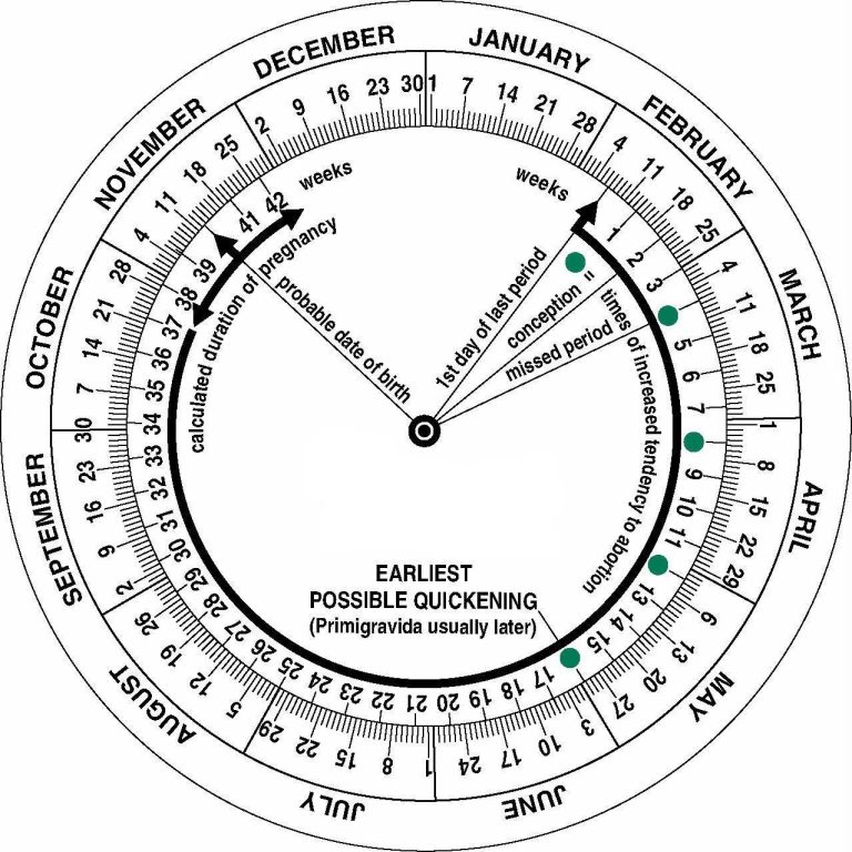 Pregnancy wheel - MK Medicals UK